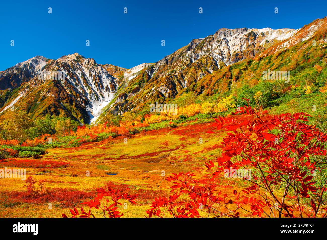 Tsugaike Nature Park observation marshland and Hakuba Sanzan (three peaks of Hakuba) in autumn ...