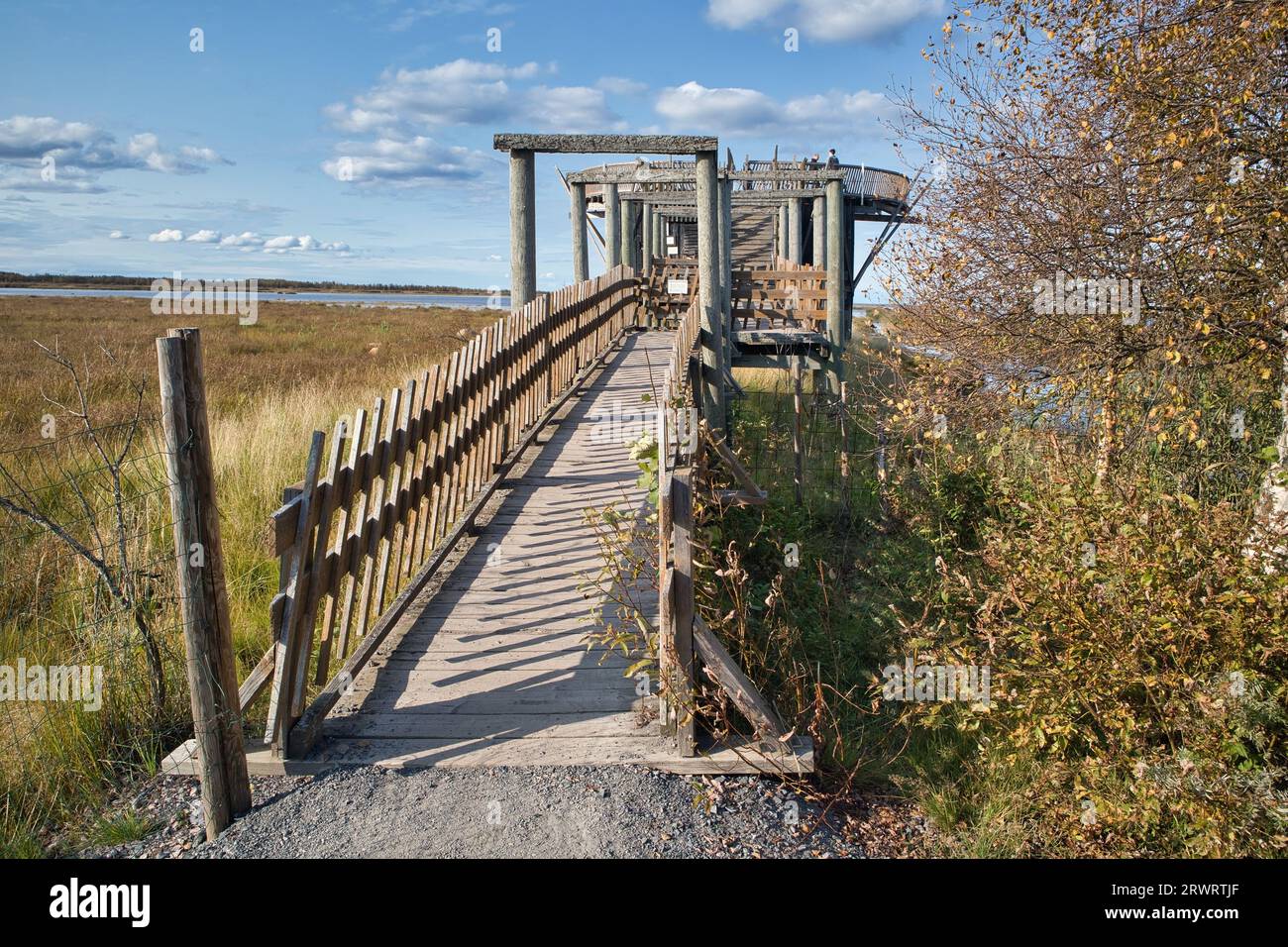 Bird watching viewing tower in Liminka bay, Finland Stock Photo - Alamy