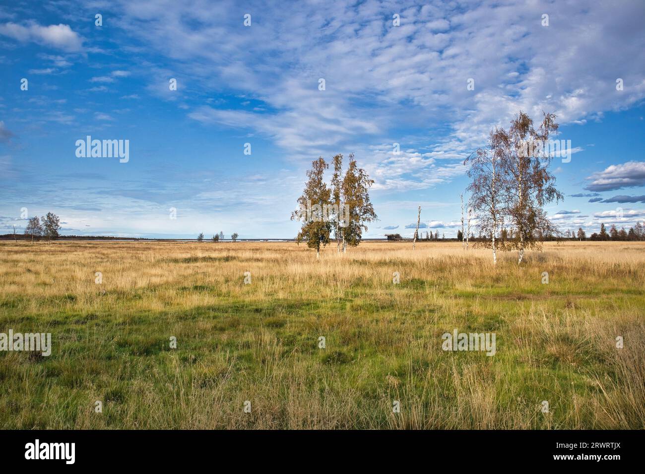 Liminka Bay landscape in autumn, Finland Stock Photo - Alamy