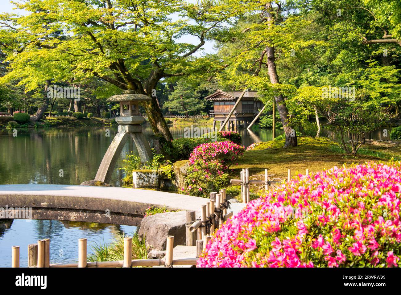 Satsuki in bloom at Kenrokuen Garden Stock Photo - Alamy