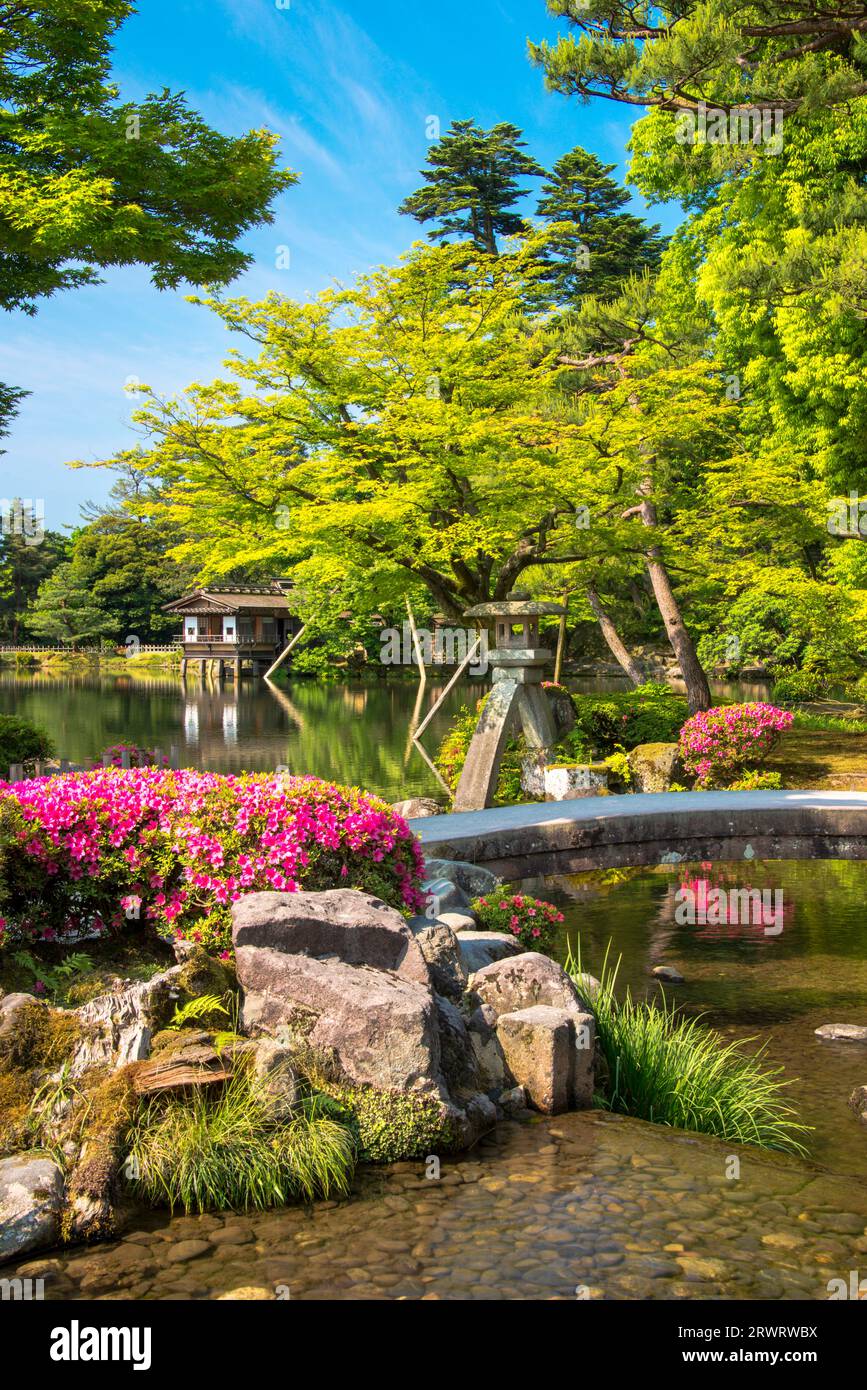 Satsuki in bloom at Kenrokuen Garden Stock Photo - Alamy