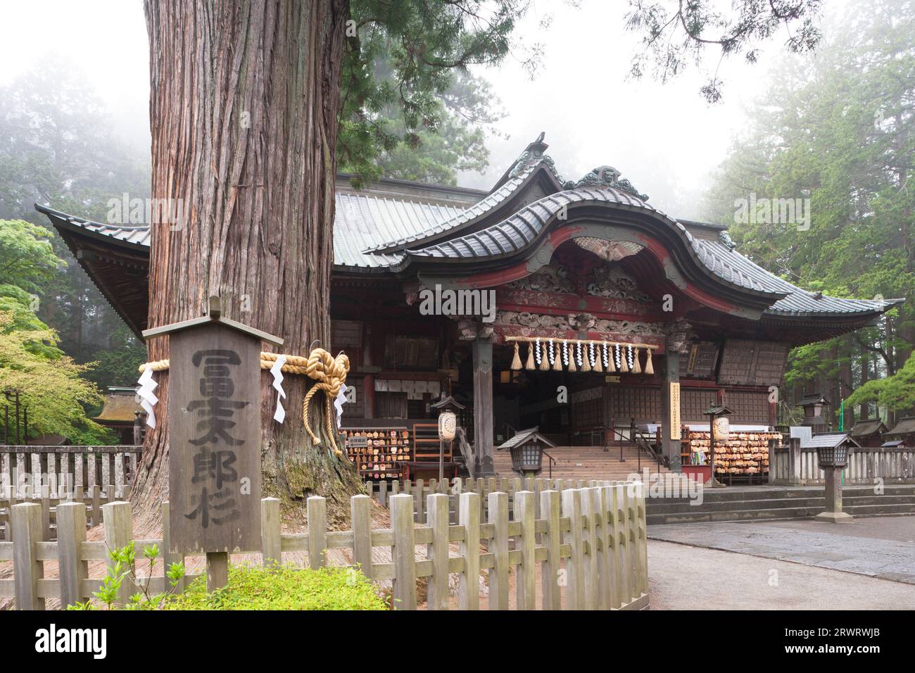 Kitaguchi Hongu Fuji Sengen Shrine and Fuji Taro cedar Stock Photo - Alamy