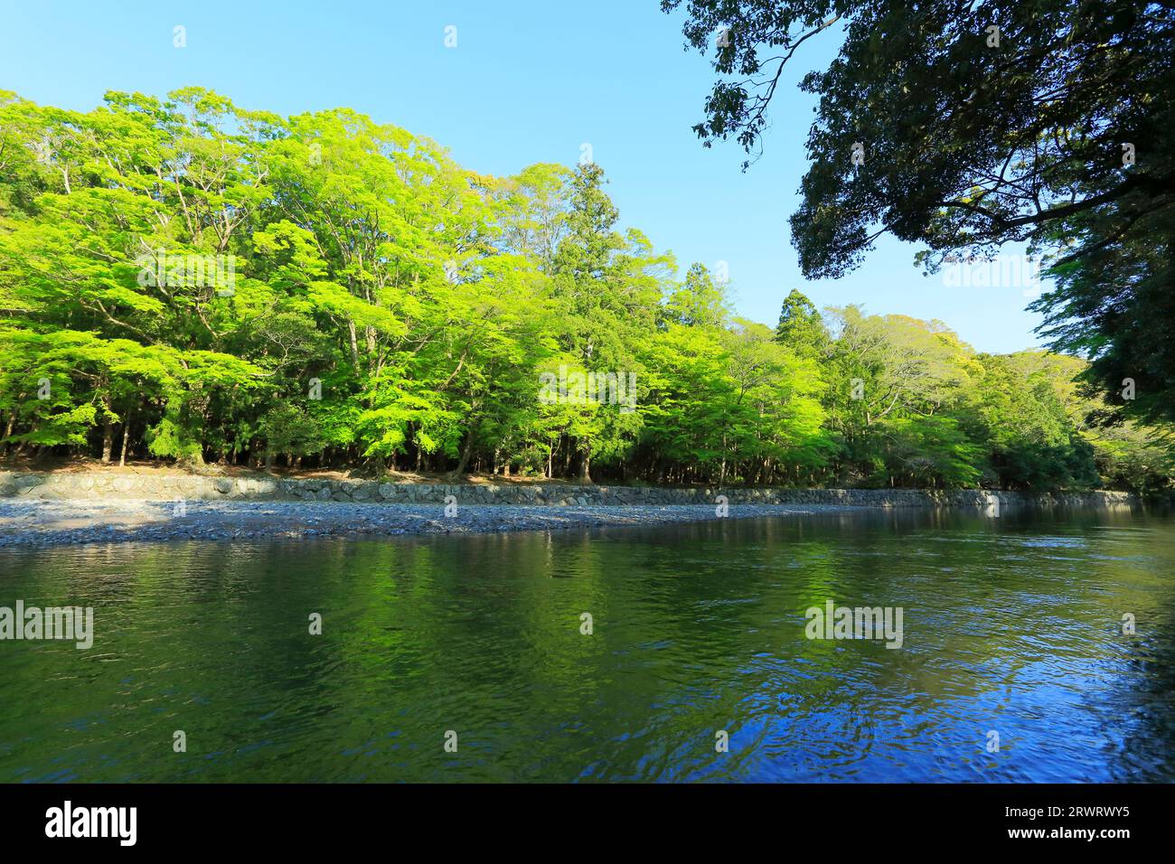 Isuzu River Gotearai-jo, Inner Shrine of Ise Jingu in the morning Stock ...