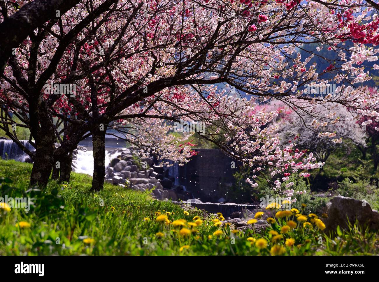 Achi Village, Gekkawa Hot Spring, and Hanamomo no Sato Stock Photo - Alamy
