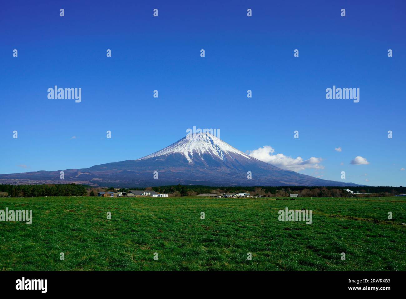 Fuji, blue sky, plateau and pasture Stock Photo - Alamy