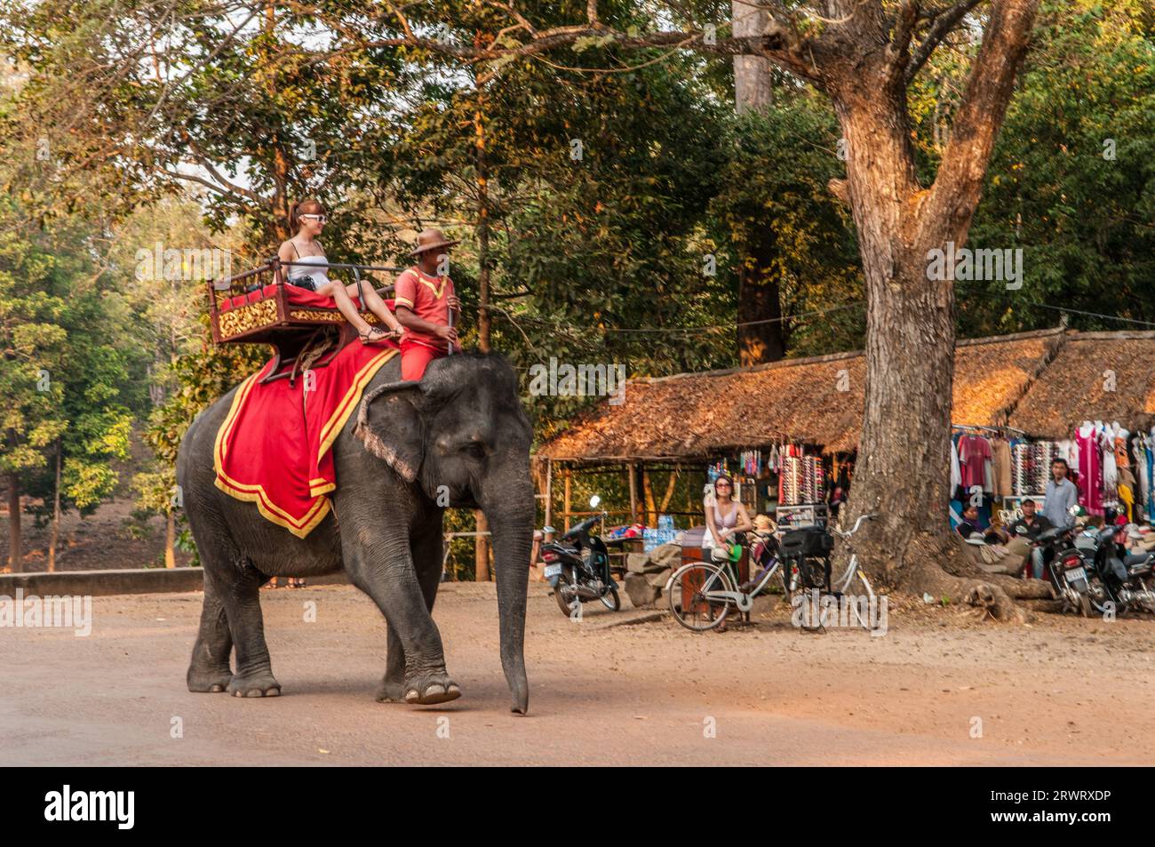 A mahout & his elephant transport a female tourist past thatched roof ...