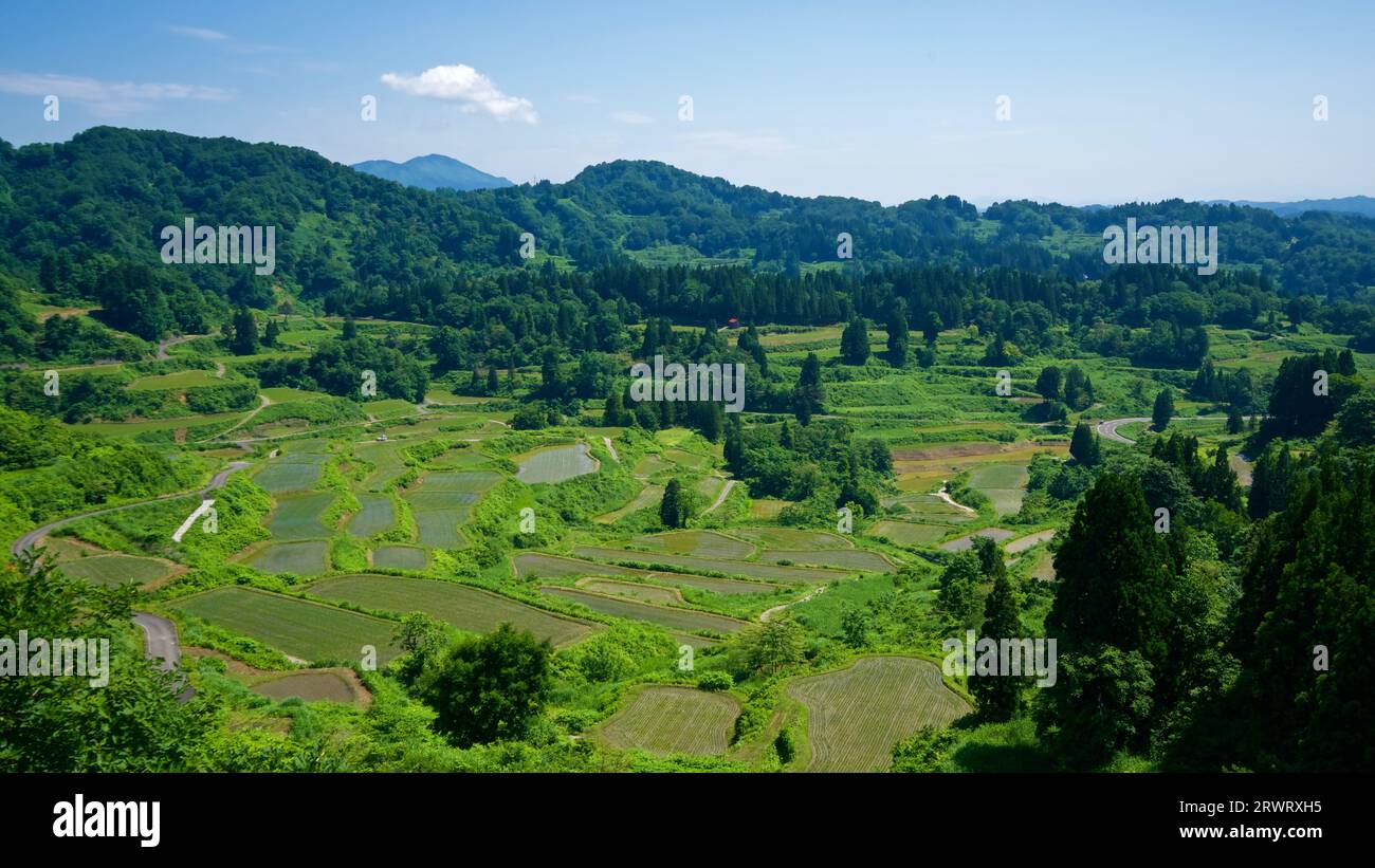 Rice terraces in japan hi-res stock photography and images - Alamy