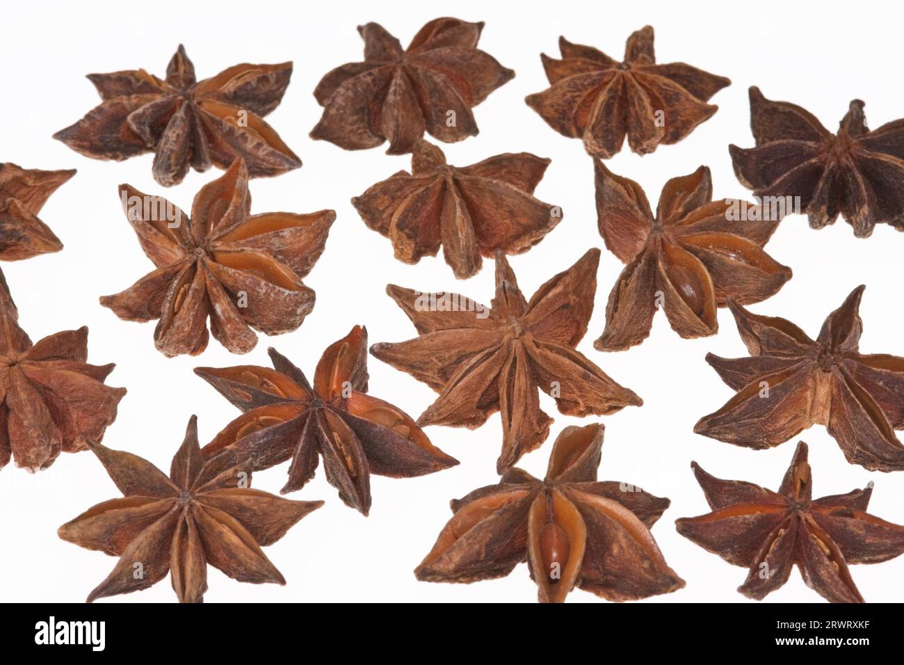 Aniseed plant hi-res stock photography and images - Alamy