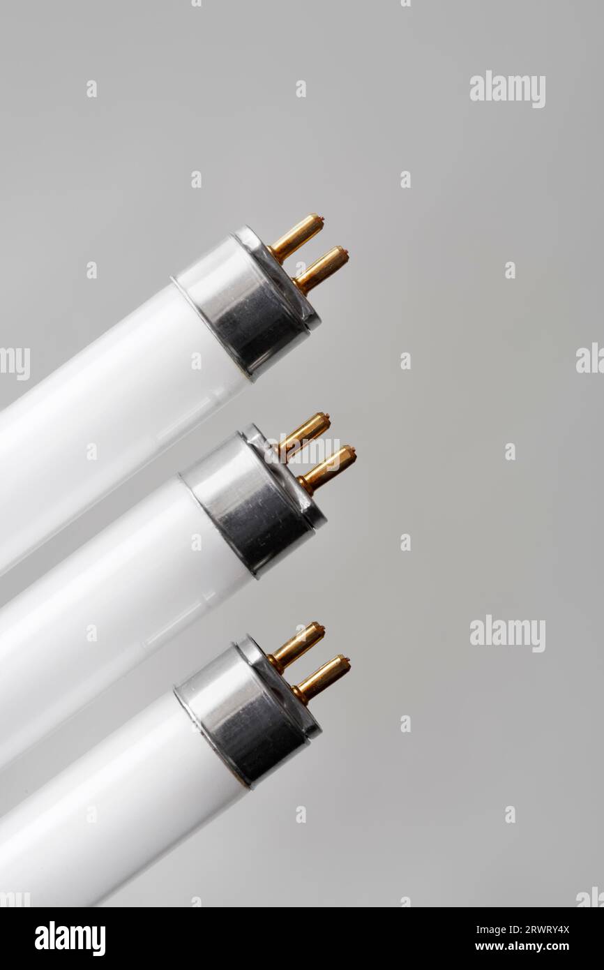 Fluorescent tubes with T5-connectors Stock Photo - Alamy