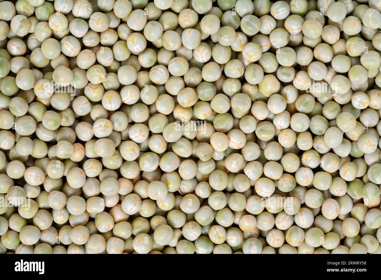 Round pea hi-res stock photography and images - Alamy