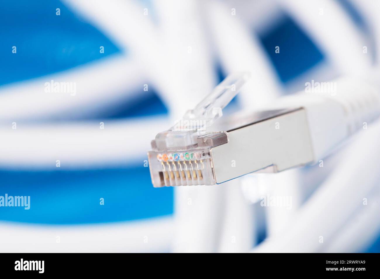 CAT5 shielded ethernet connector Stock Photo - Alamy