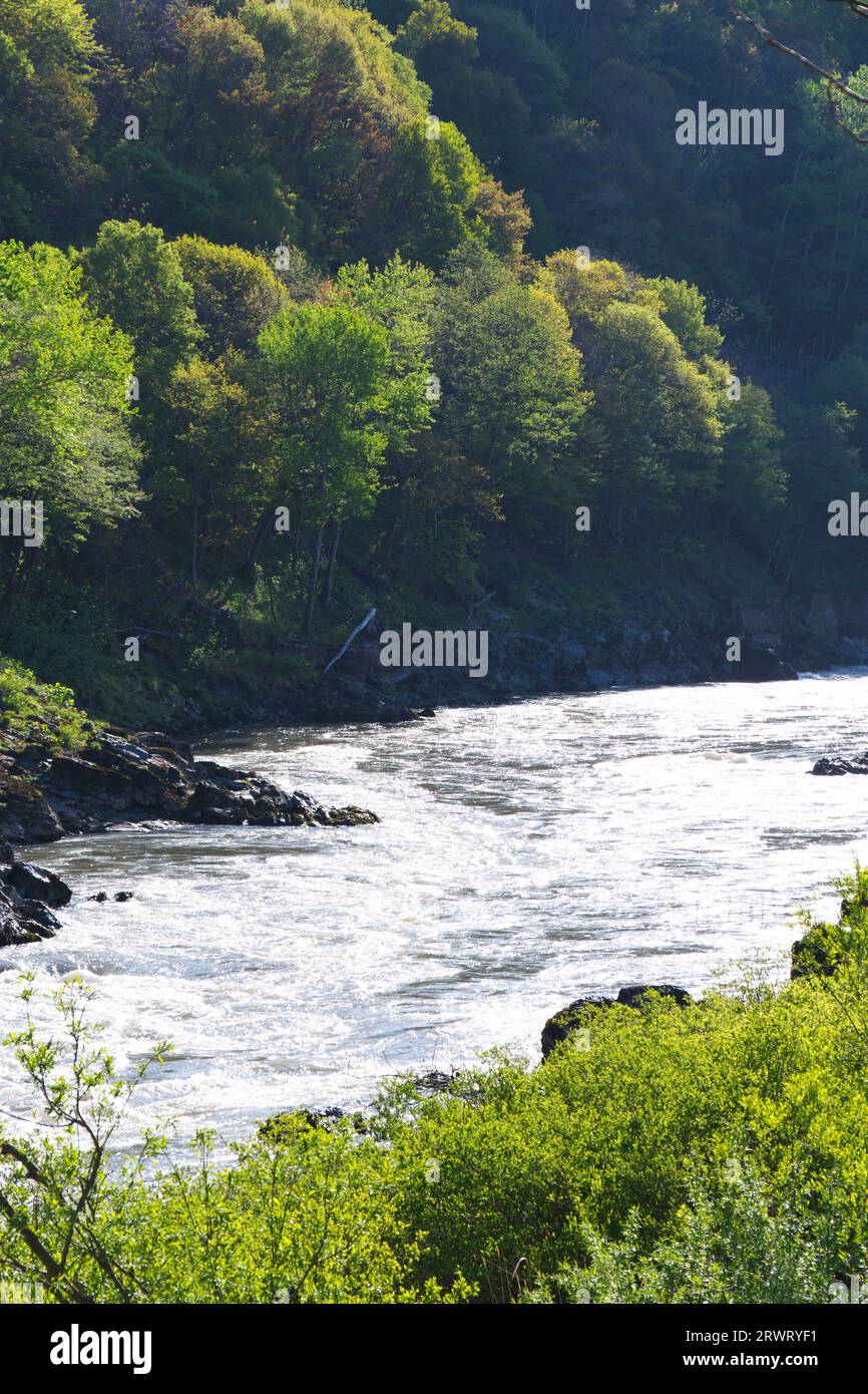 Kamui gawa hi-res stock photography and images - Alamy