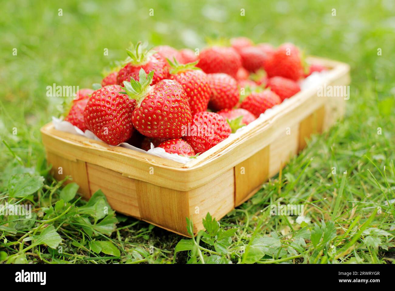 Small edible fruit hi-res stock photography and images - Alamy