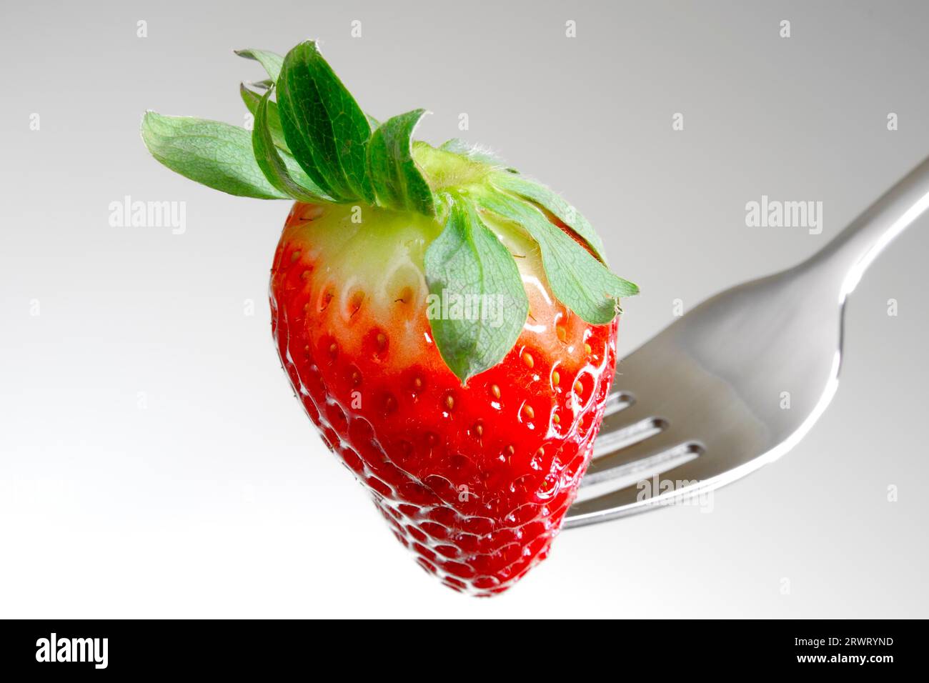 Stainless steel fork and strawberry hi-res stock photography and images ...