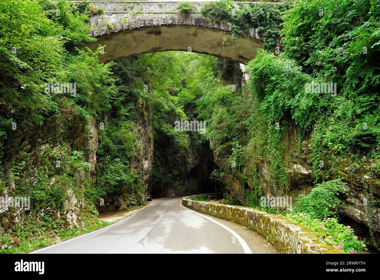 Forra hi-res stock photography and images - Alamy