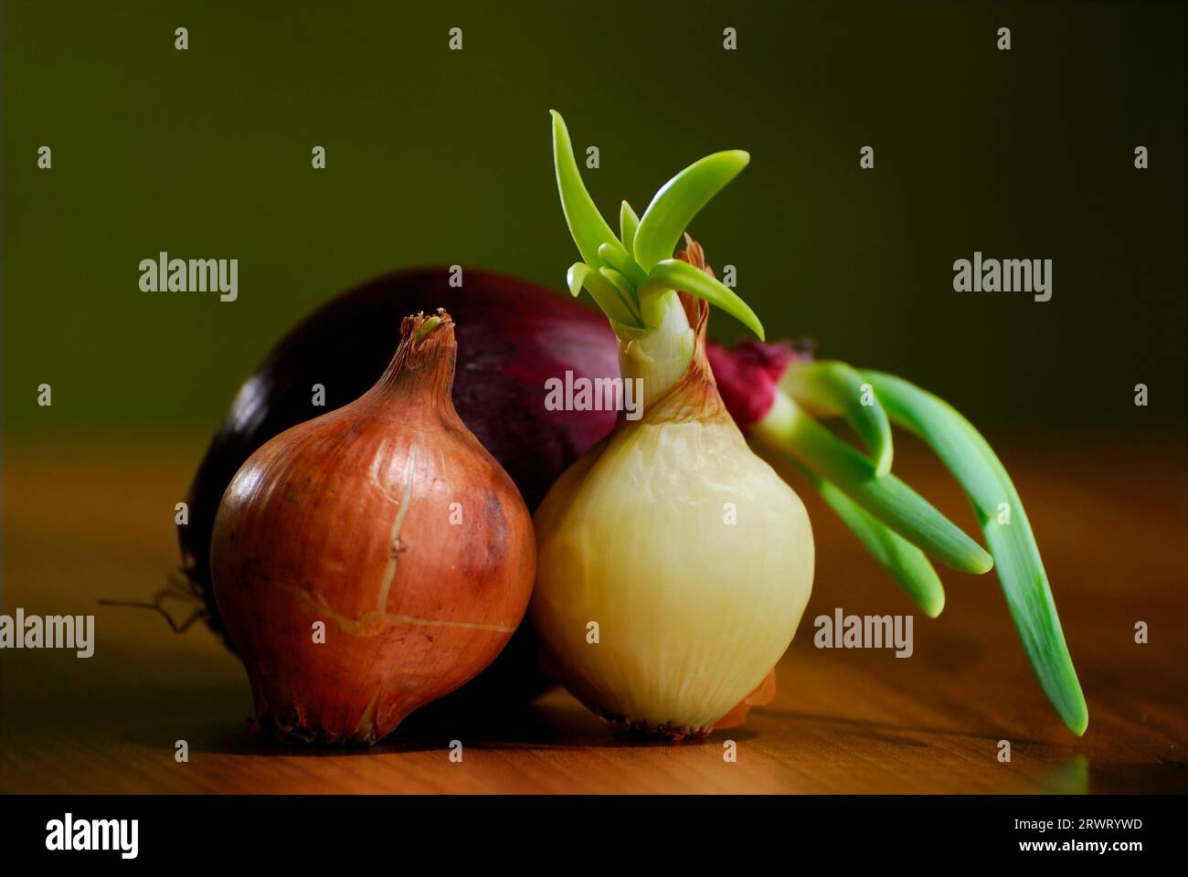3 different kinds of onions on a kitchen table. Three Onions Stock ...