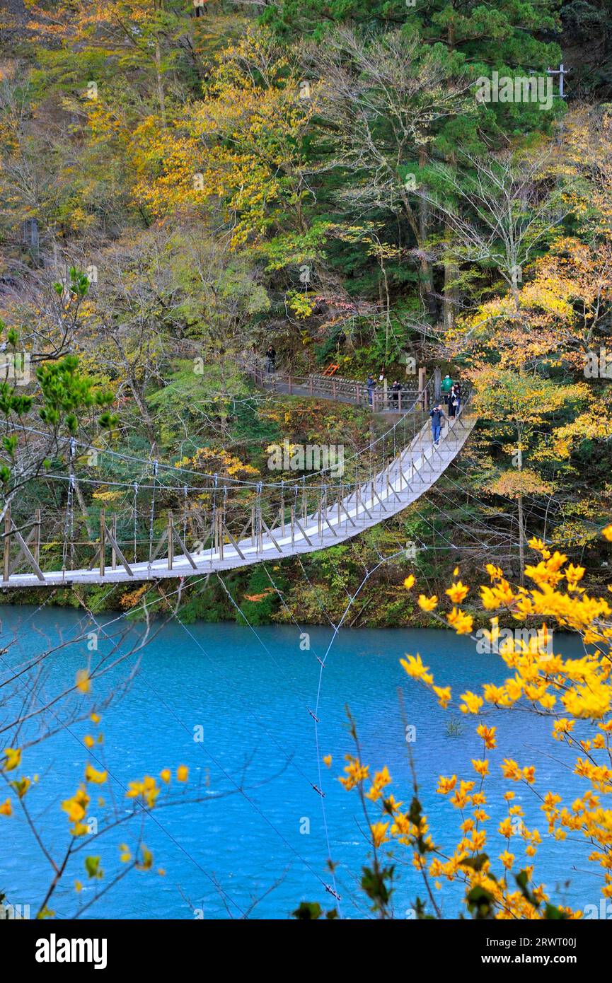 Sunmatakyo Dream Suspension Bridge Stock Photo - Alamy