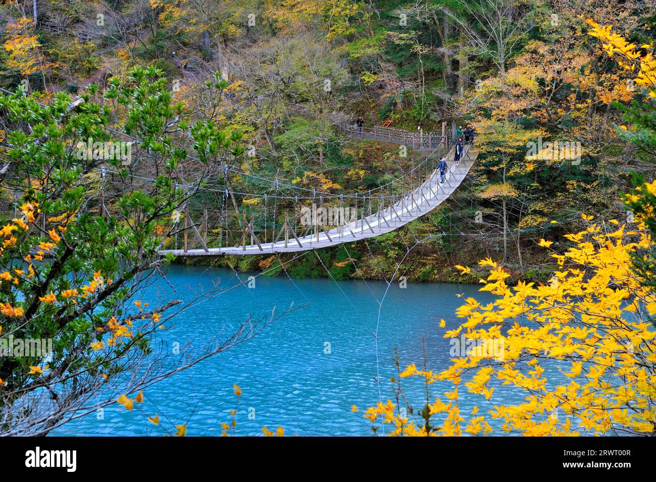 Sunmatakyo Dream Suspension Bridge Stock Photo - Alamy