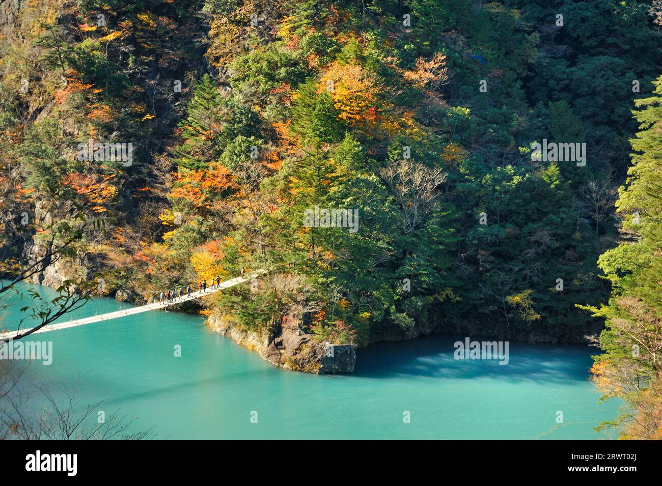 Sunmatakyo Dream Suspension Bridge Stock Photo - Alamy