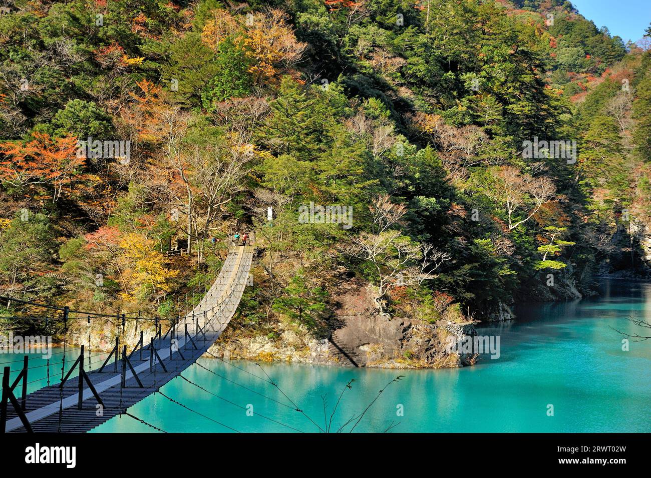 Sunmatakyo Dream Suspension Bridge Stock Photo - Alamy