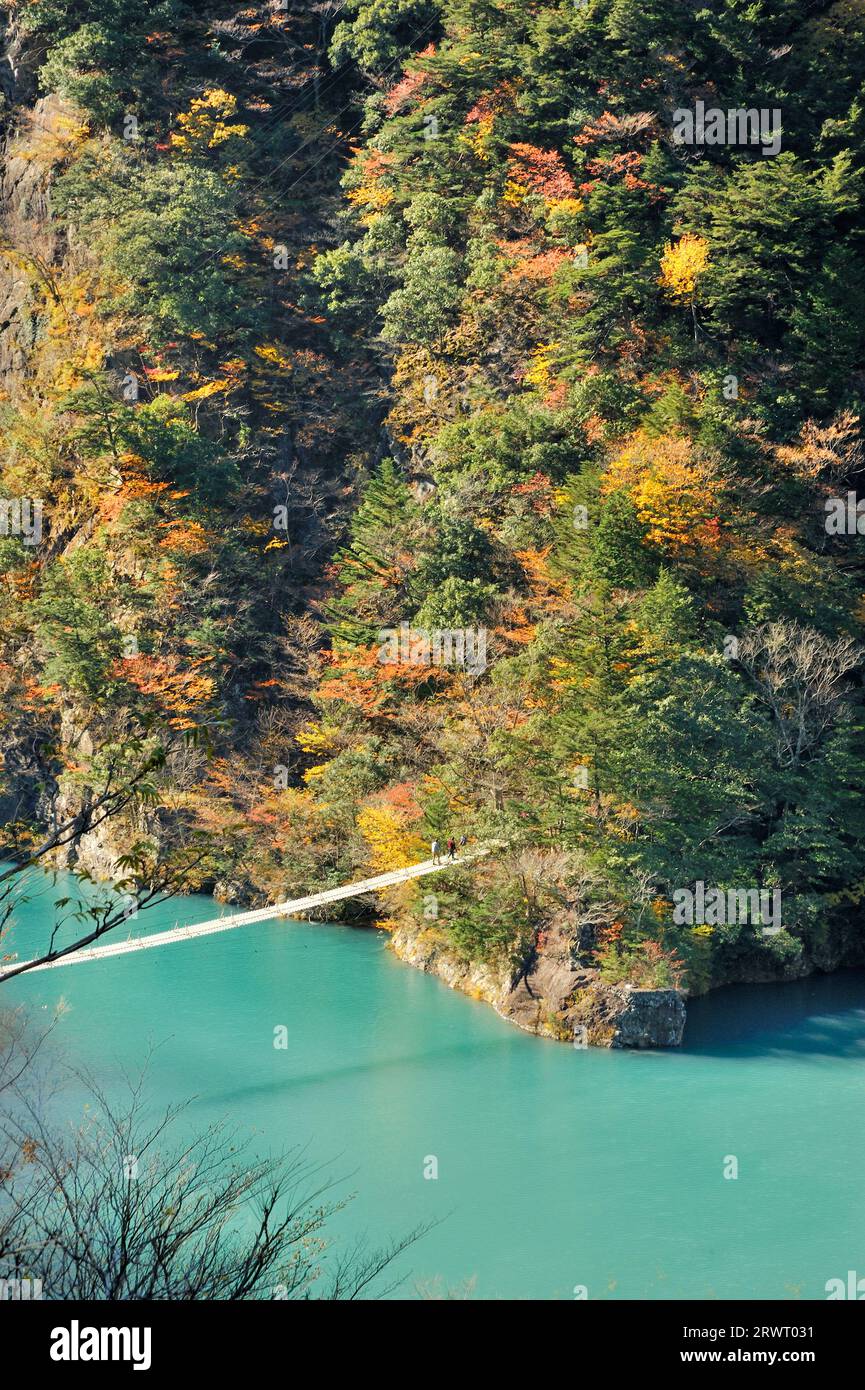 Sunmatakyo Dream Suspension Bridge Stock Photo - Alamy