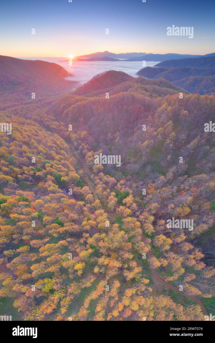 Tateshina and Mt. Yatsugatake in the distance Stock Photo - Alamy