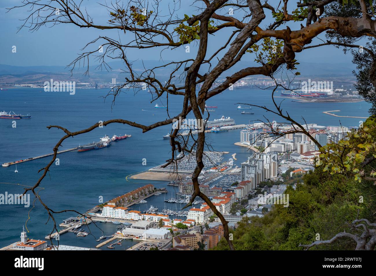 View from the Rock of Gibraltar to the bay of Gibraltar full of ships ...