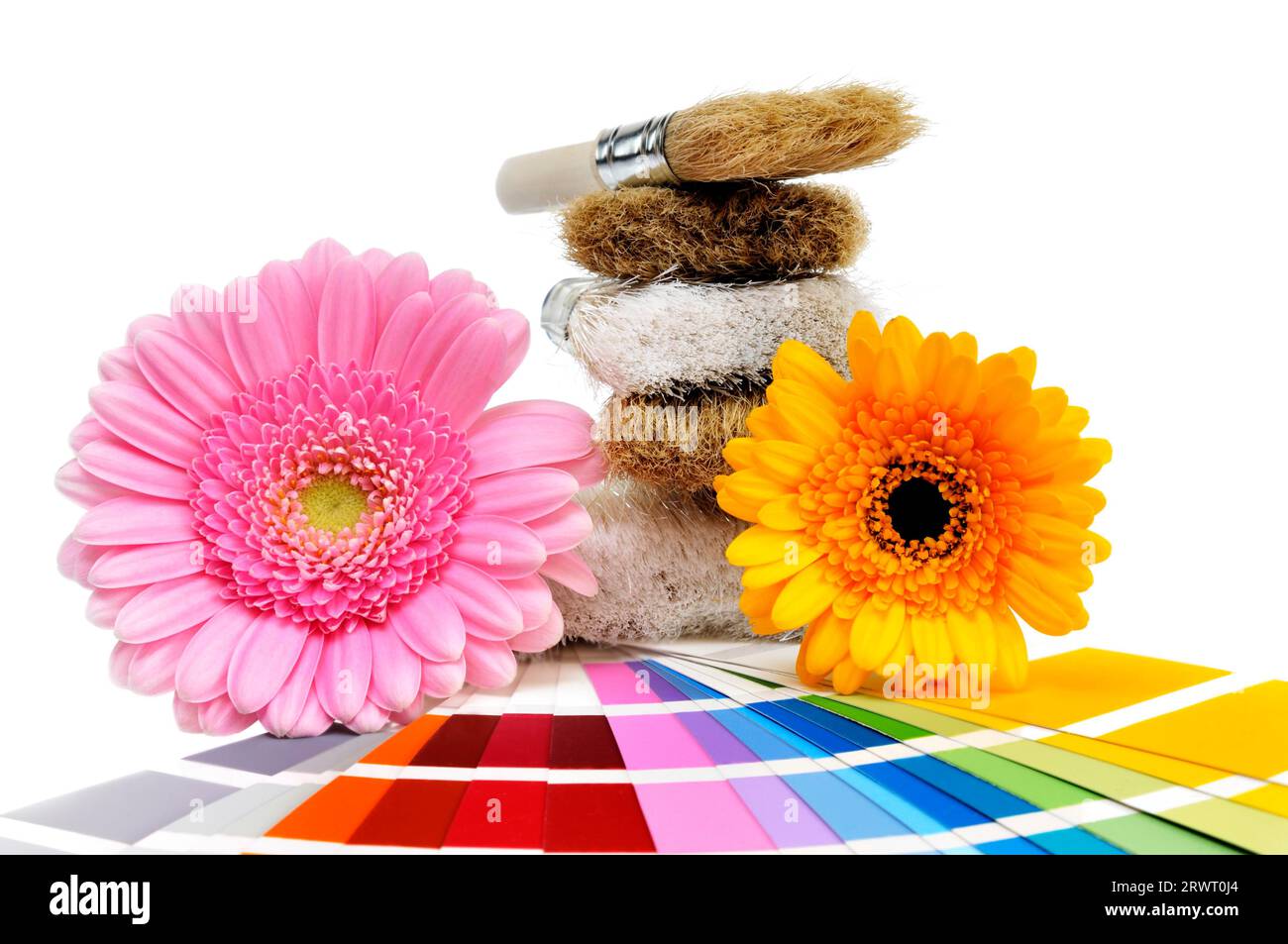 Fresh coat of paint Stock Photo - Alamy