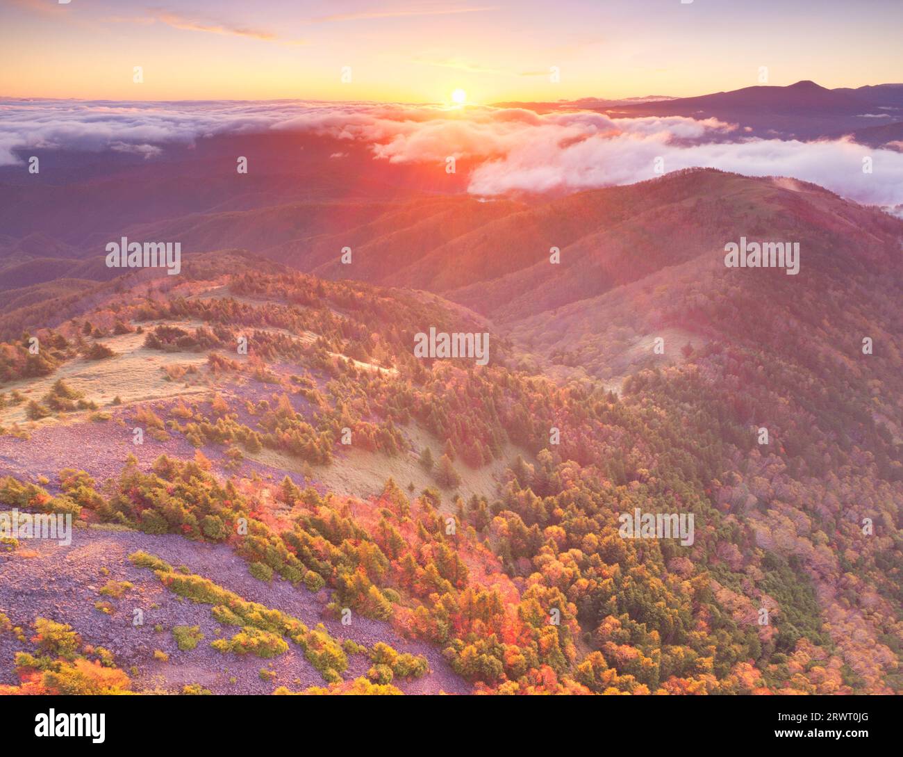 Tateshina and sea of clouds Stock Photo - Alamy
