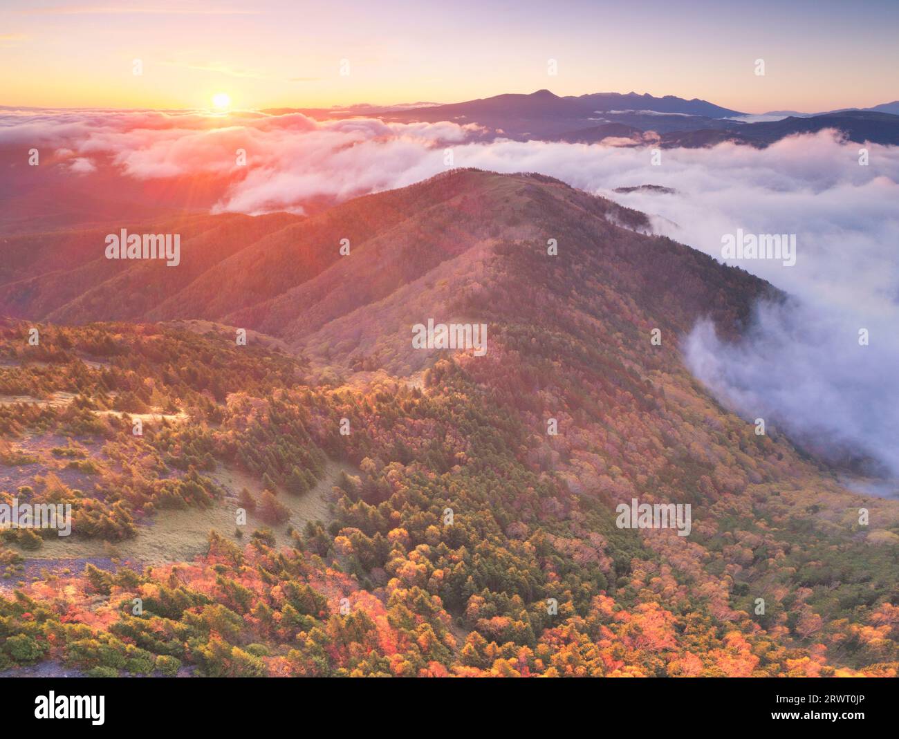 Tateshina and sea of clouds Stock Photo - Alamy