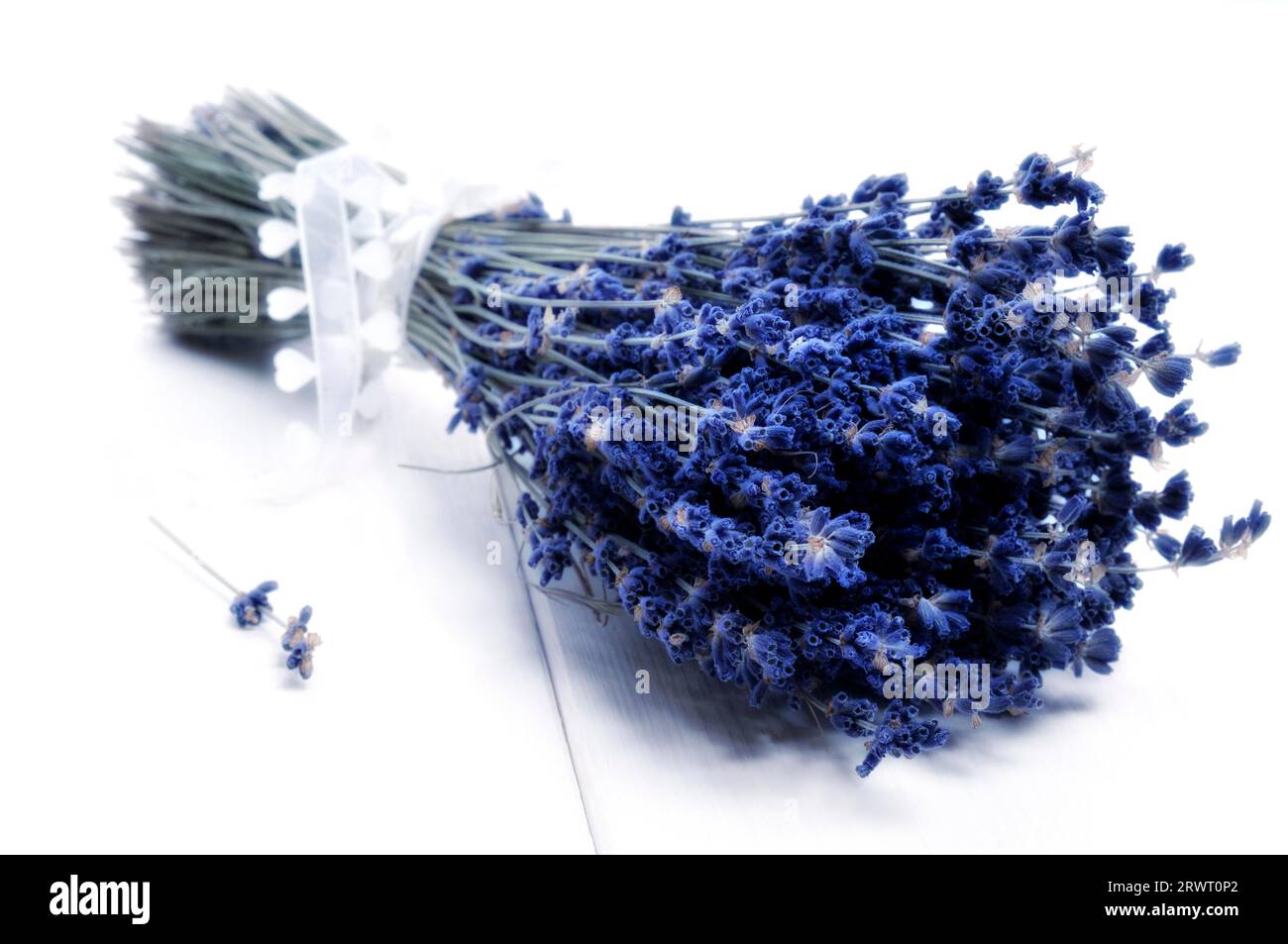 Aromatic lavender Cut Out Stock Images & Pictures - Alamy