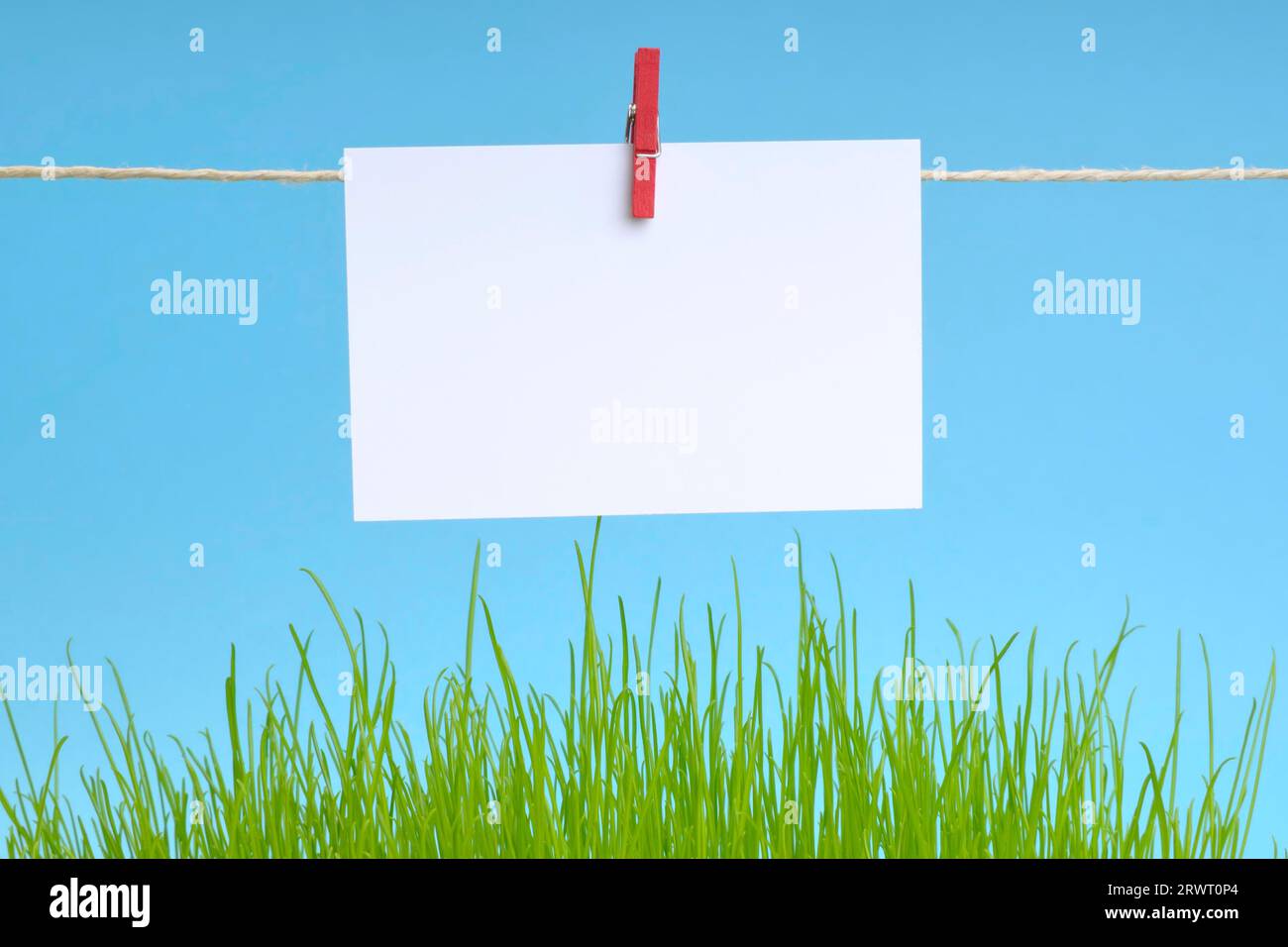 Text free space on paper Stock Photo - Alamy