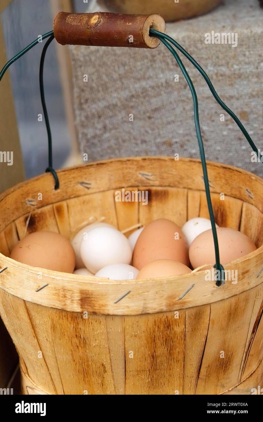 White and brown eggs in a wooden bucket Stock Photo - Alamy