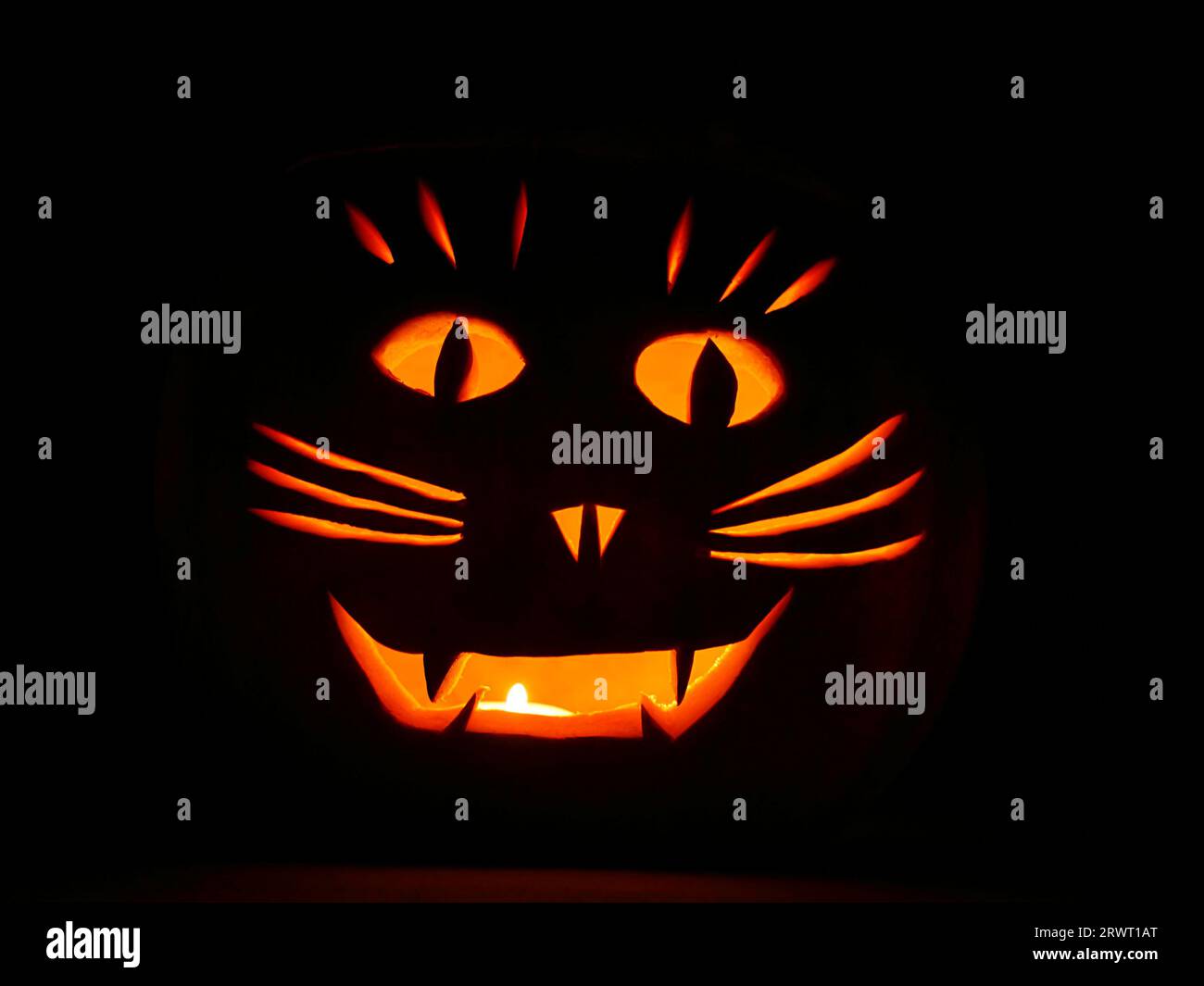 Jack o lantern cat hi-res stock photography and images - Alamy