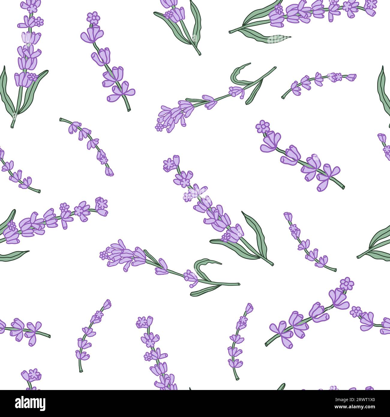 Field lavender Stock Vector Images - Alamy
