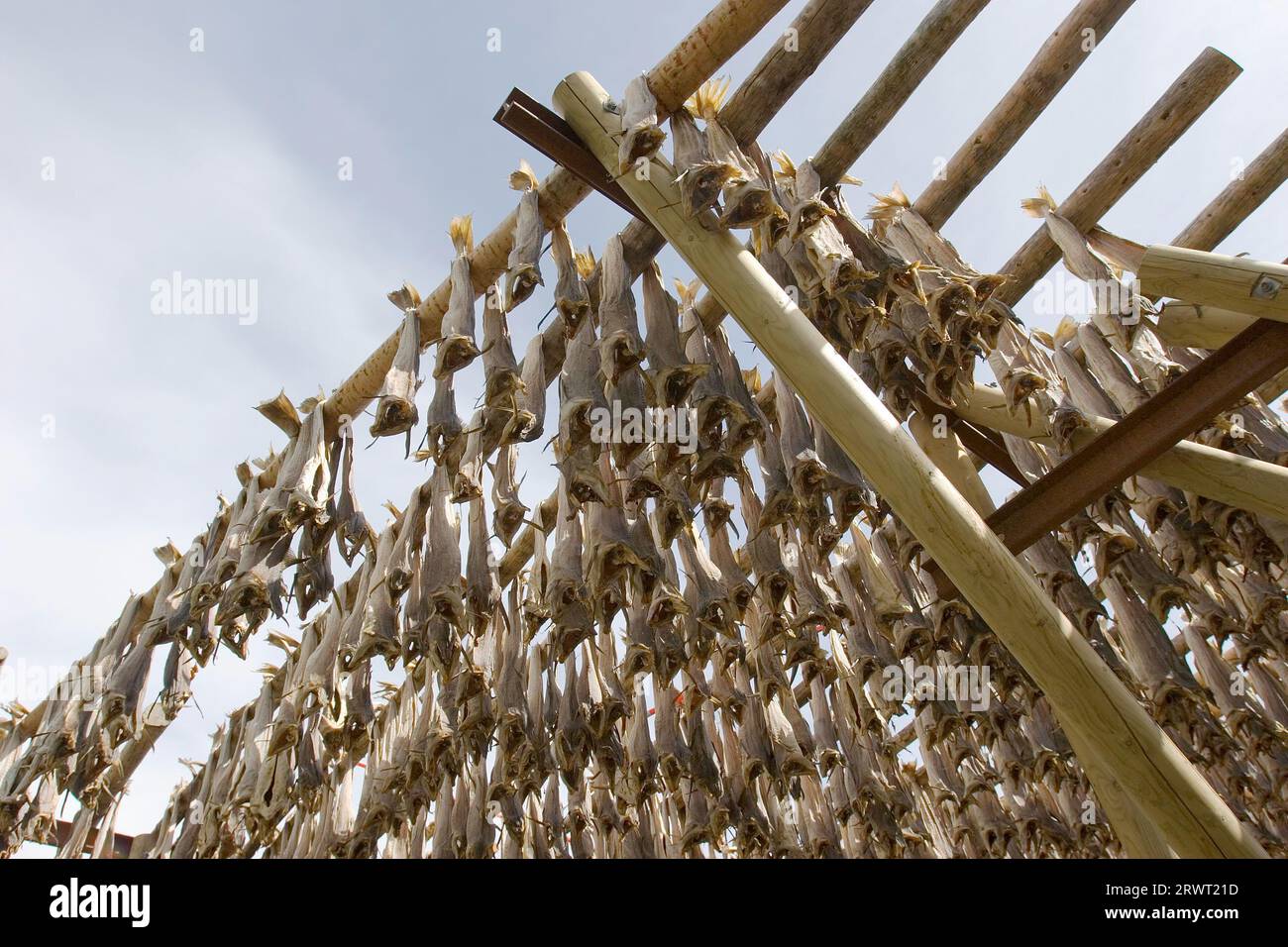 Fish racks hi-res stock photography and images - Alamy