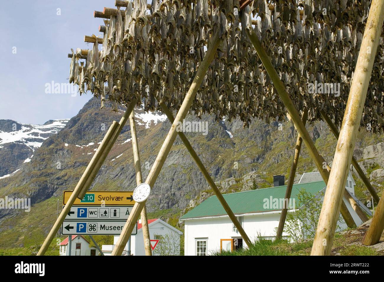 Dried fish racks in Lofoten Stock Photo - Alamy