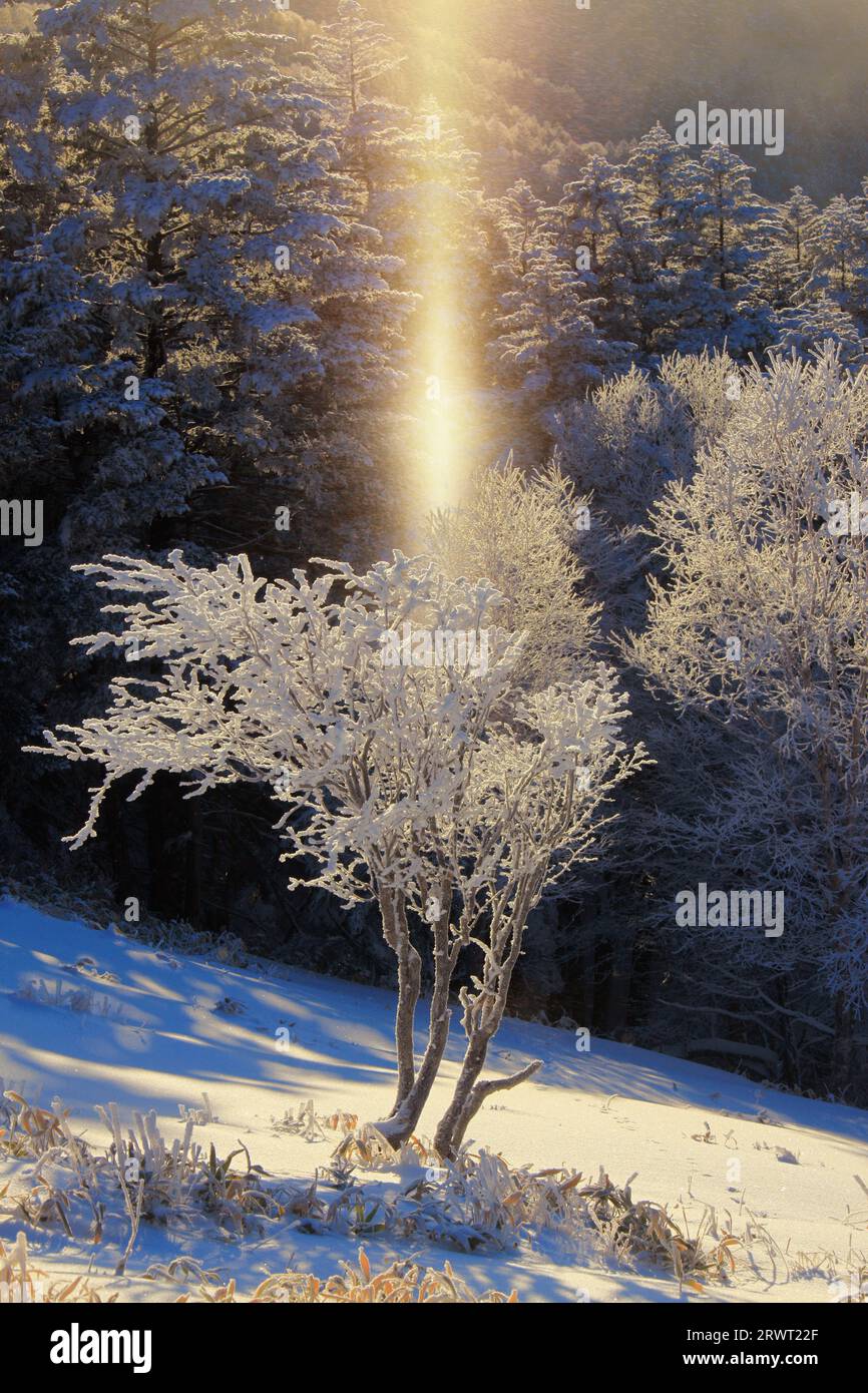 Light pillar phenomena hi-res stock photography and images - Alamy