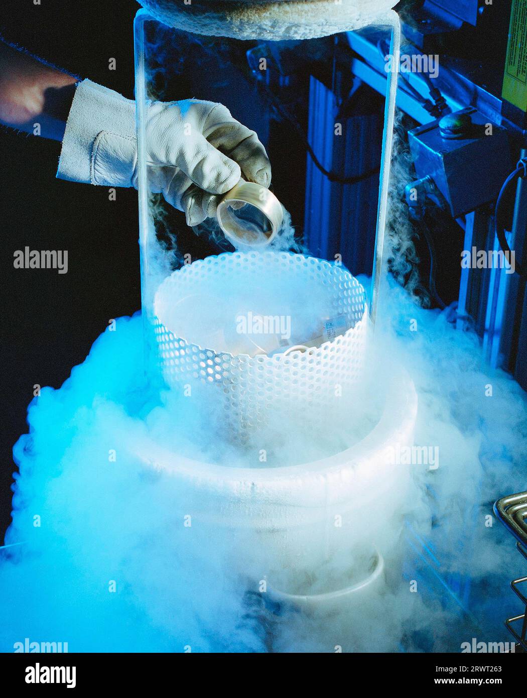 Metal ring is cooled in liquid nitrogen Stock Photo - Alamy