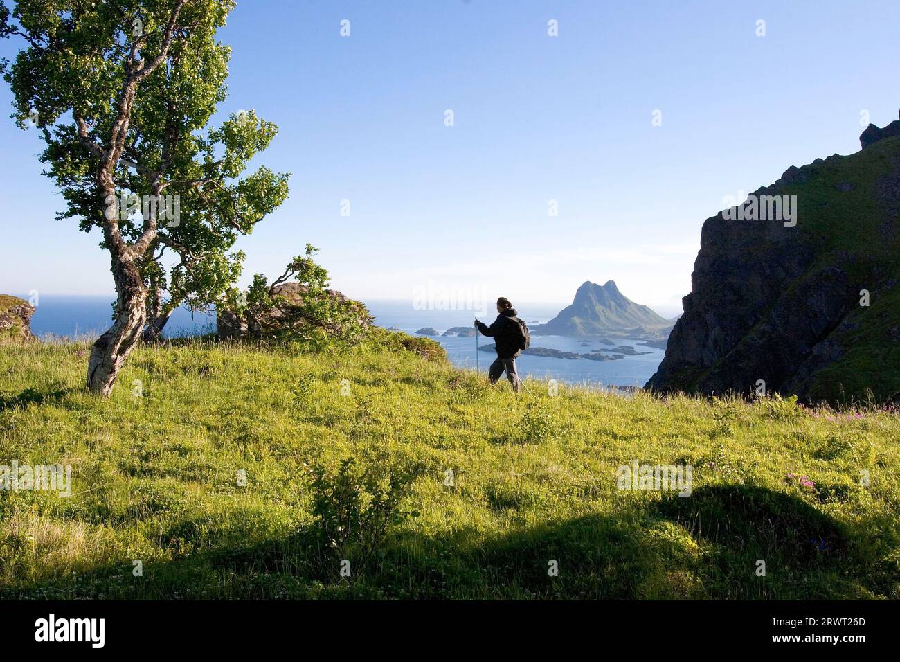 Hiking in Lofoten, Stamsund Stock Photo - Alamy