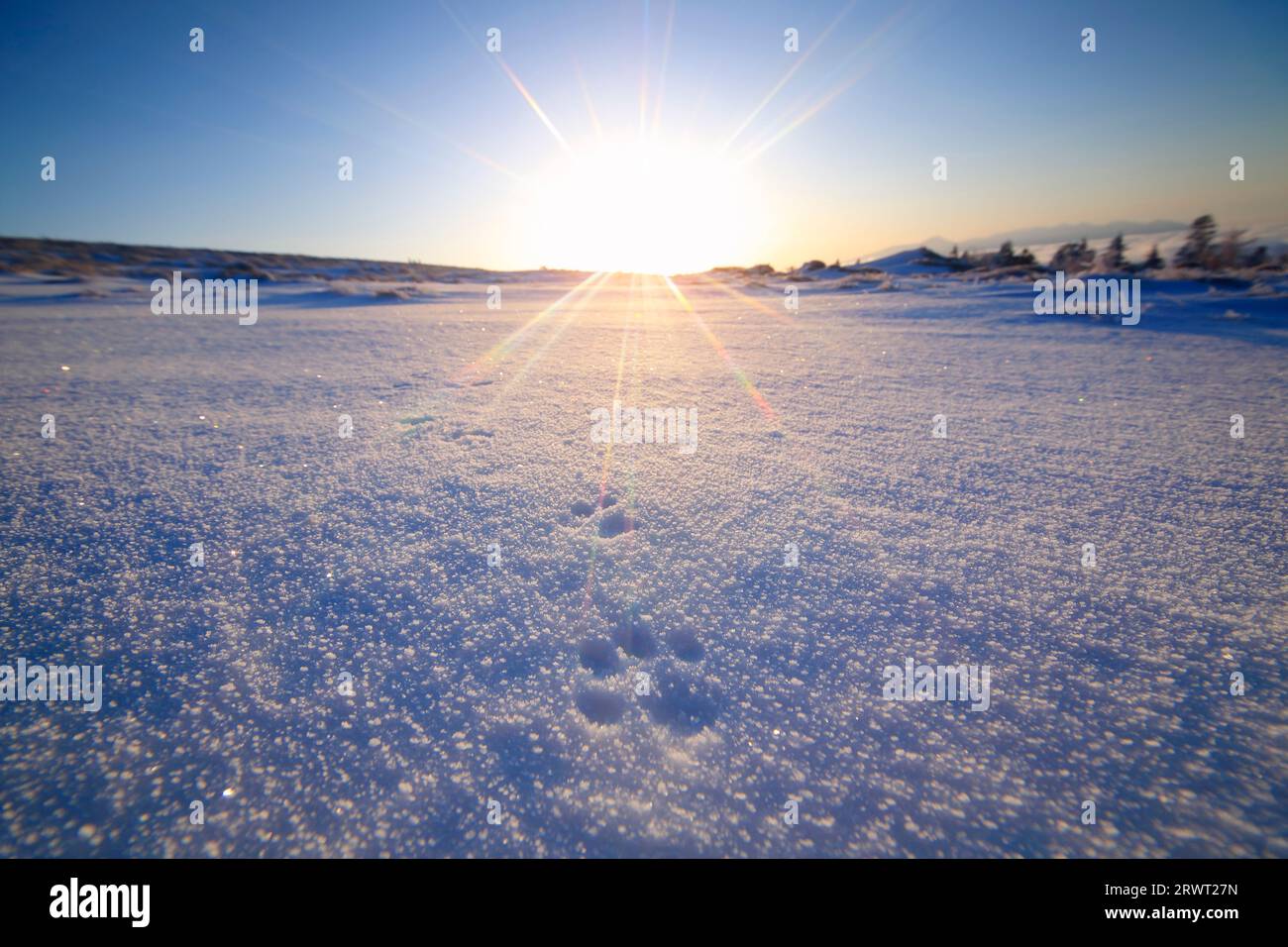 Light footprint hi-res stock photography and images - Alamy