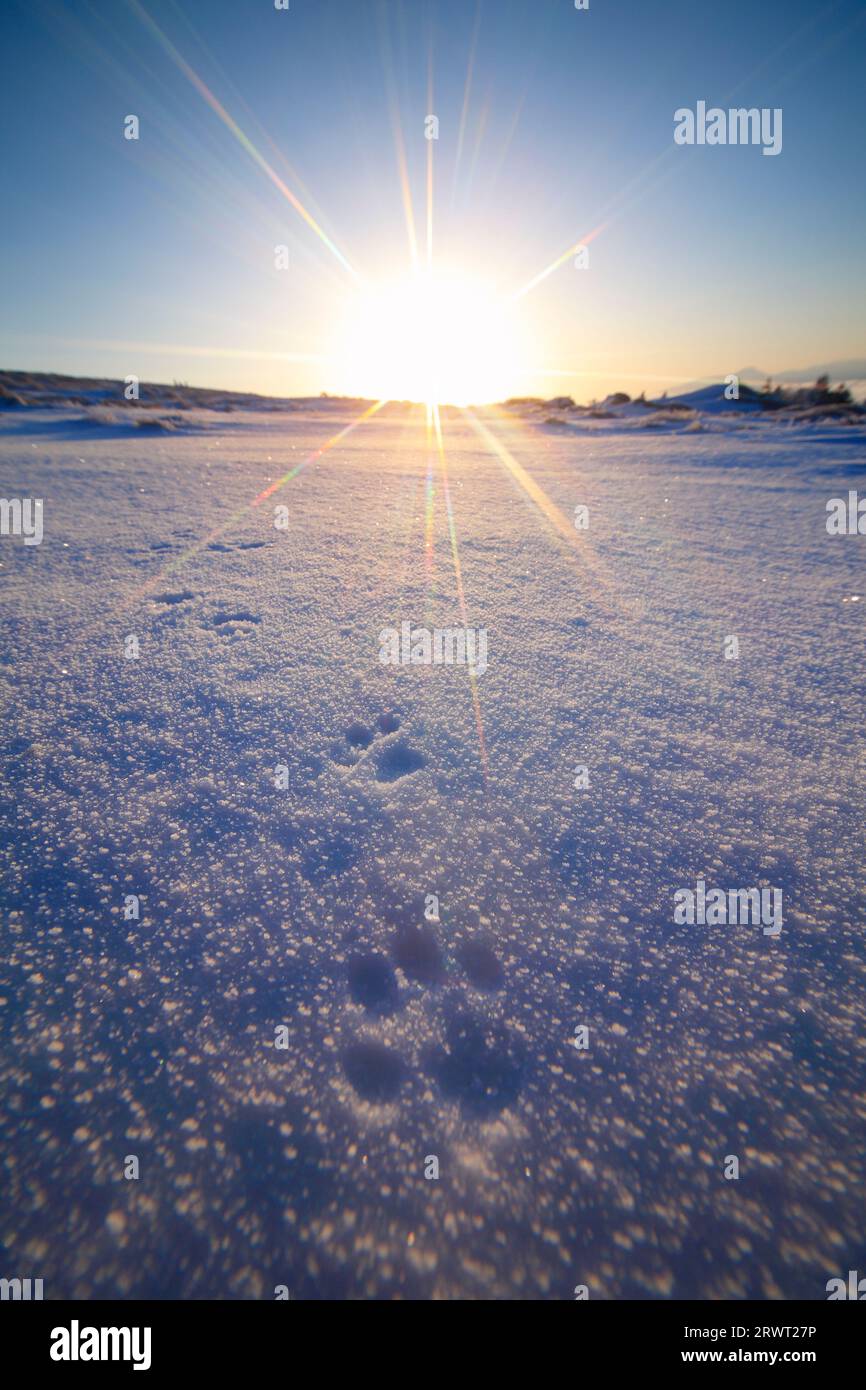 Light footprint hi-res stock photography and images - Alamy