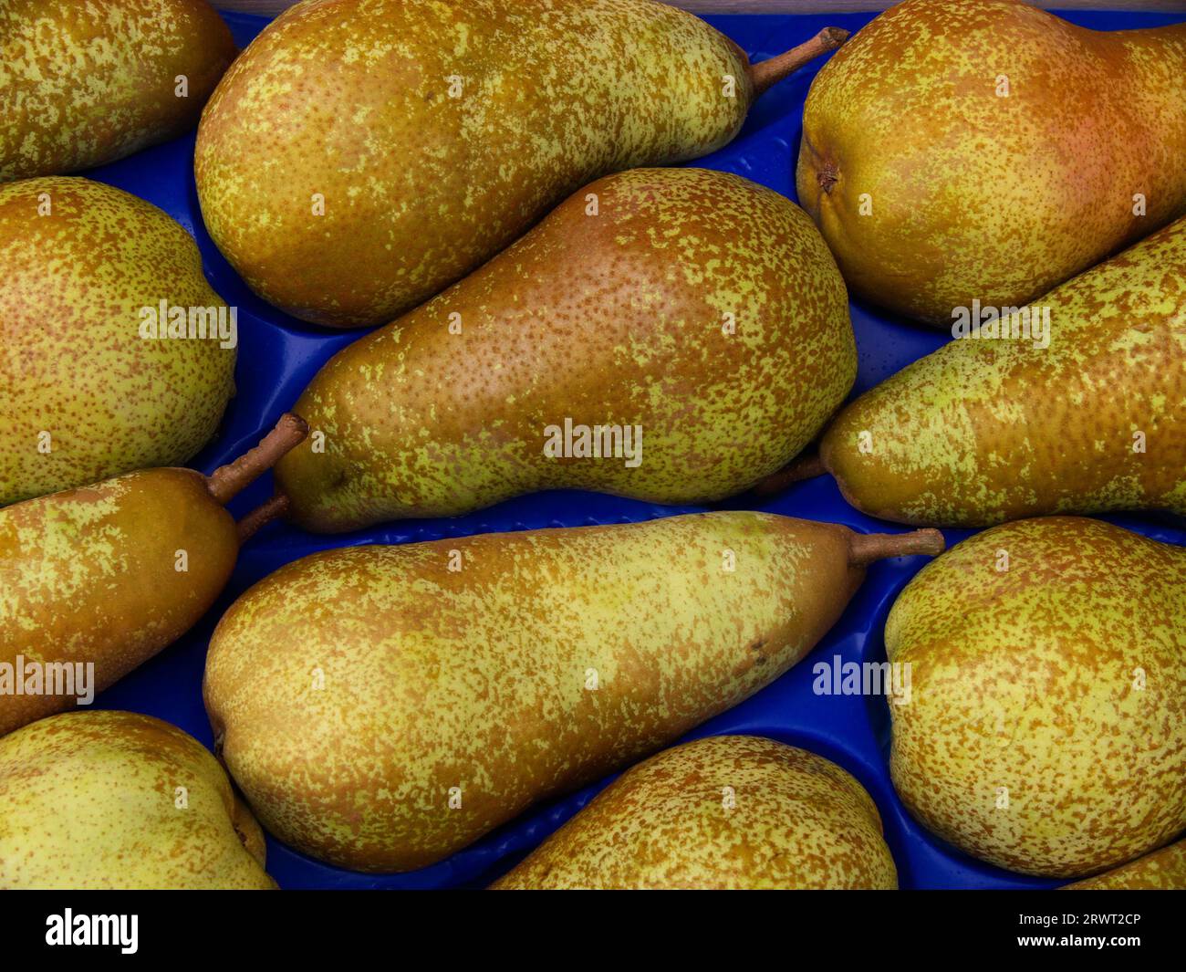 Kilos of golden yellow Abate pears in fruit crate Stock Photo - Alamy