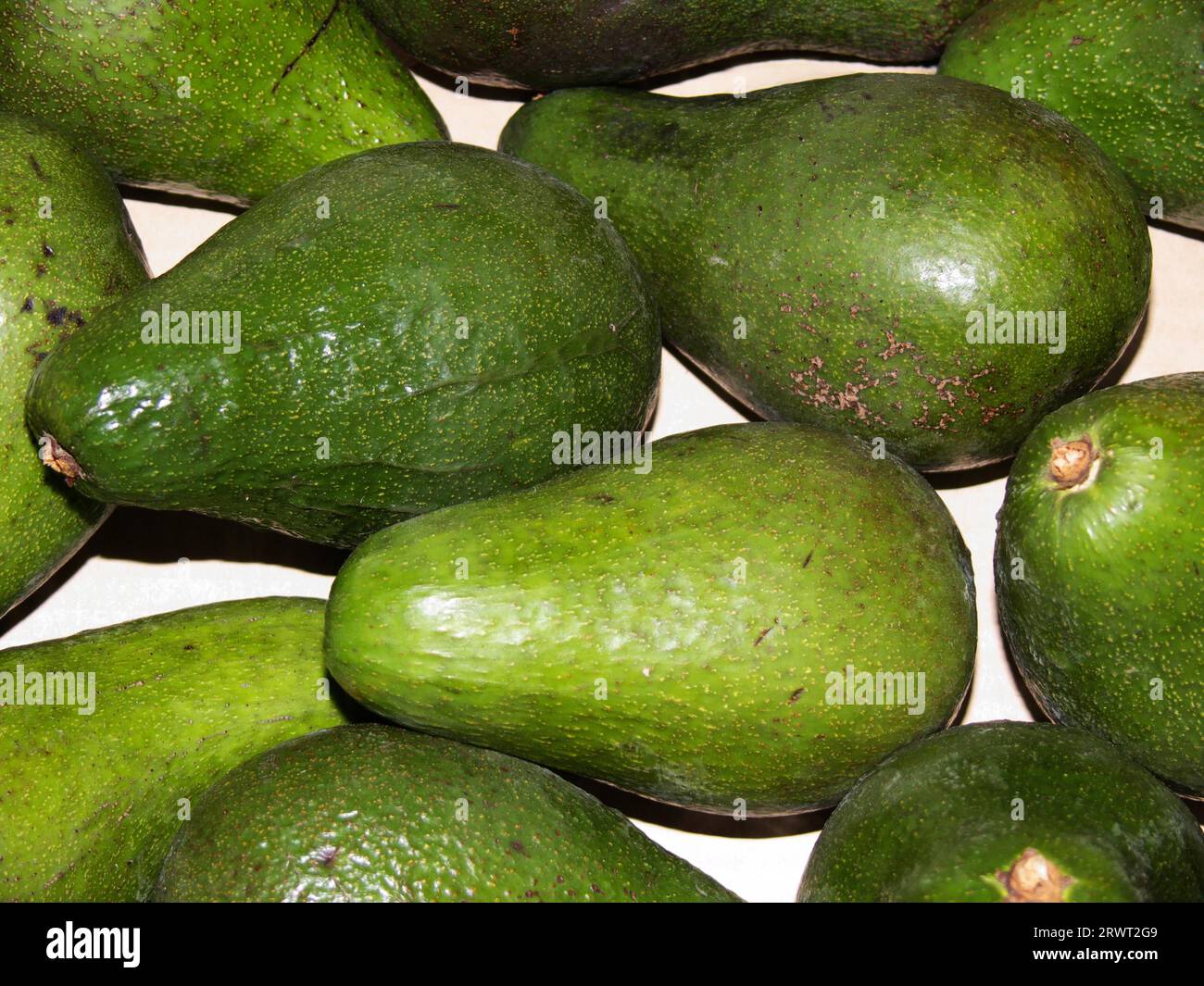 Oval shaped vegetable hi-res stock photography and images - Alamy