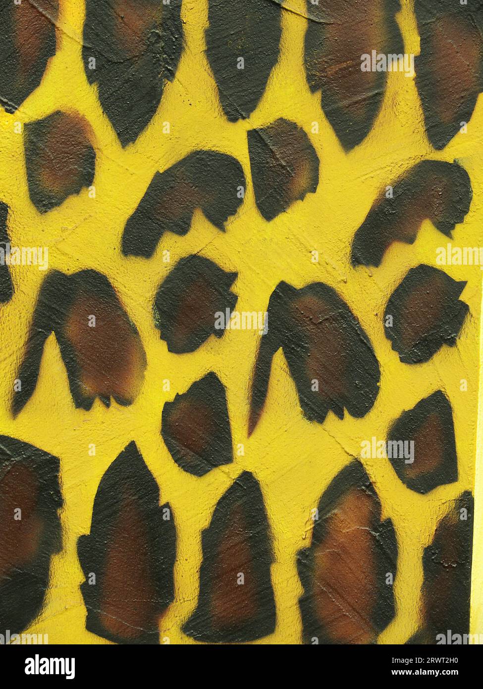 Leo pattern hi-res stock photography and images - Alamy