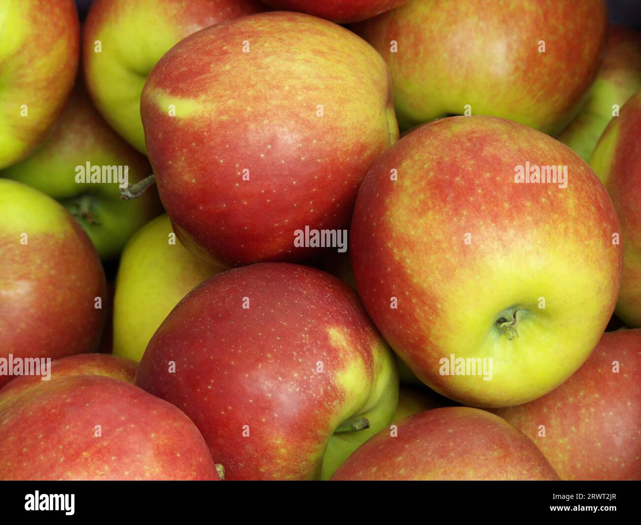 Jonathan apple hi-res stock photography and images - Alamy