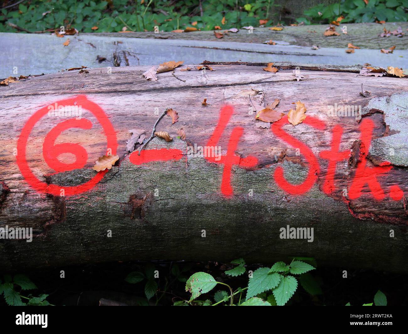 For further processing hi-res stock photography and images - Alamy