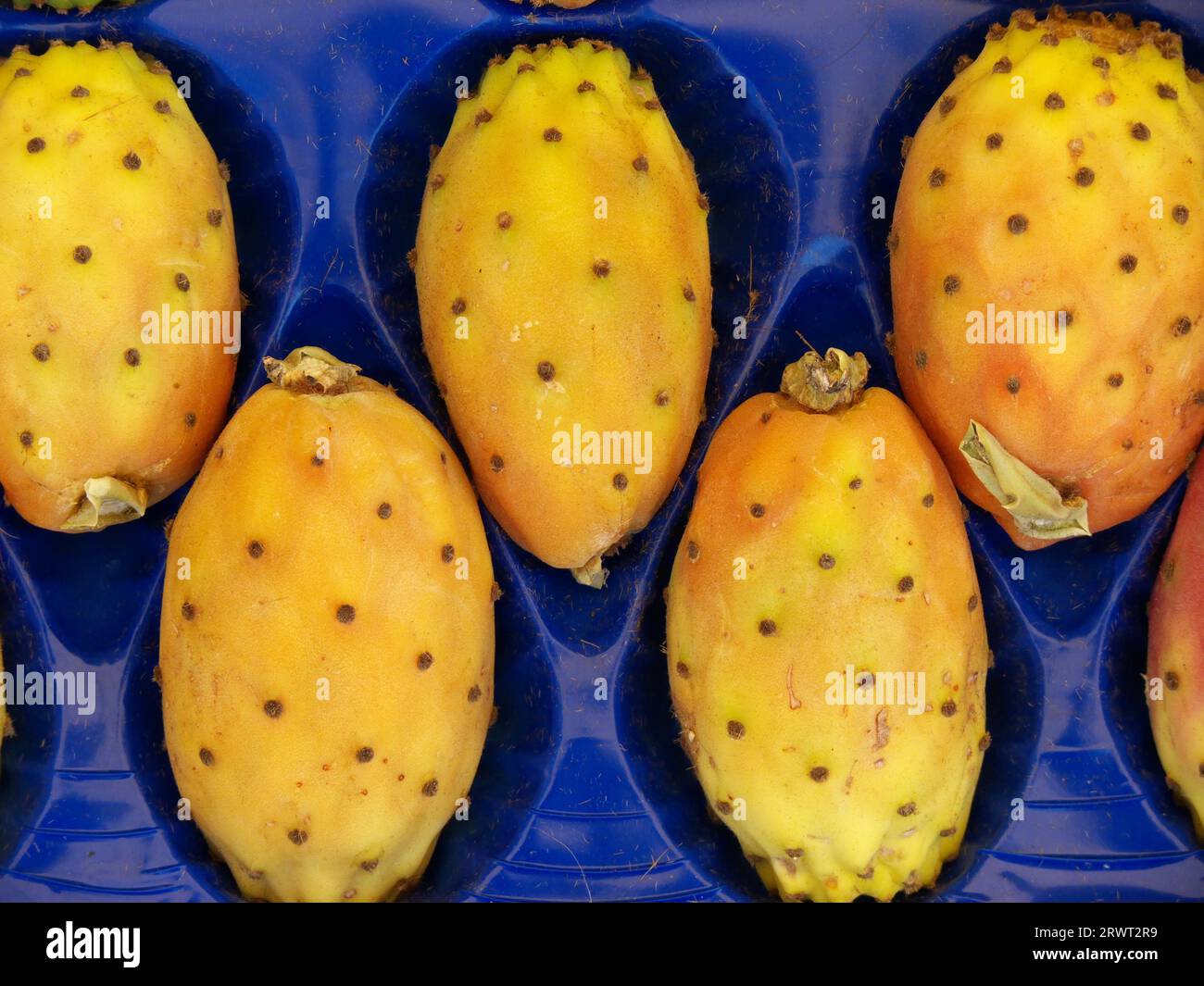 Ripe prickly pears in a fruit crate, background blue Stock Photo - Alamy