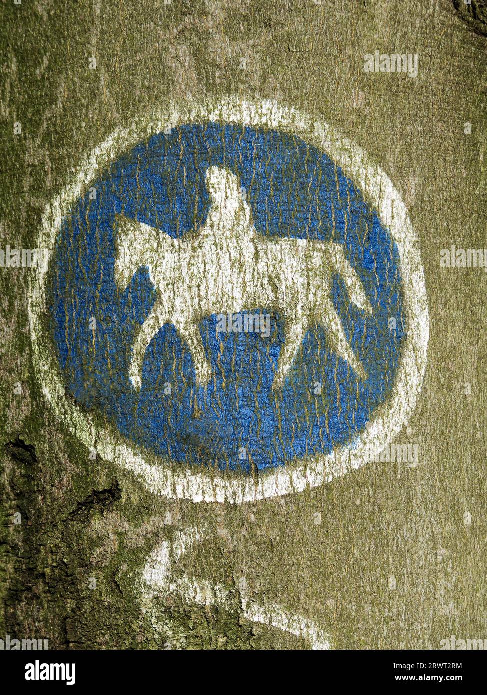 Symbol for a bridle path painted on the tree Stock Photo - Alamy