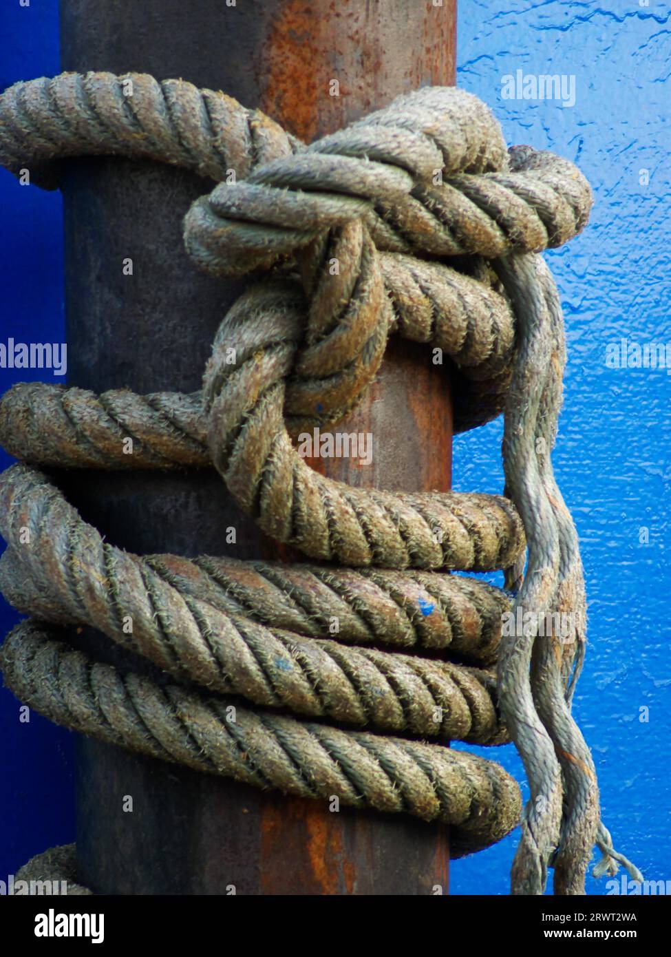 Bollard with rope wrapped several times, background blue (ship) wall ...